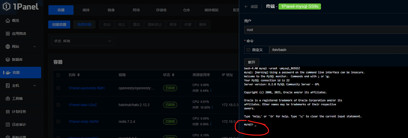 1panel配置mysql主从复制（保证数据库安全 - 教程分享 - 雨云论坛