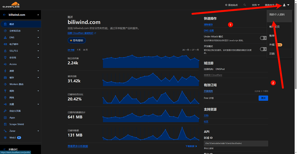 1Panel CloudFlare证书申请失败的解决方案 - 雨云论坛